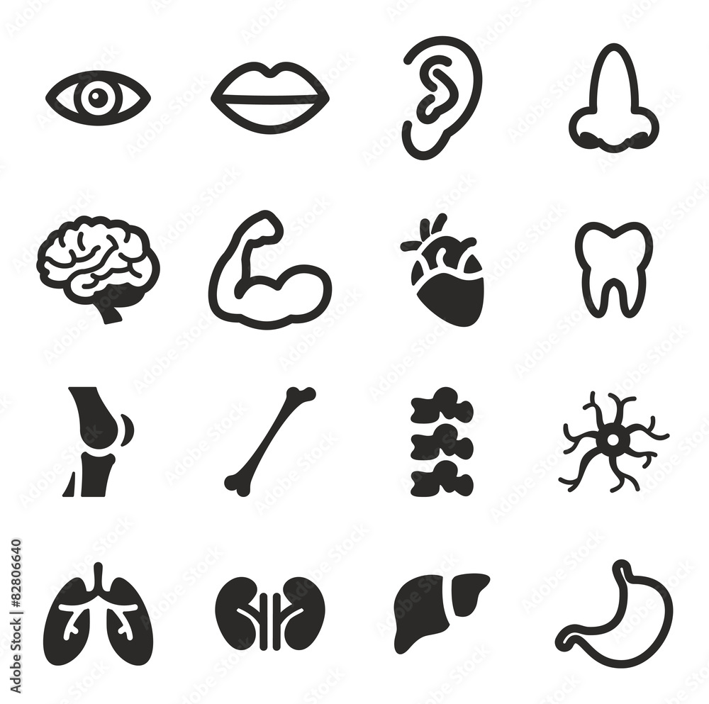 Human Anatomy Icons Stock Vector | Adobe Stock