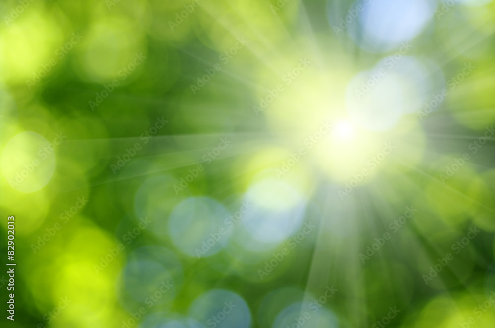 Green blurred background Stock Photo | Adobe Stock