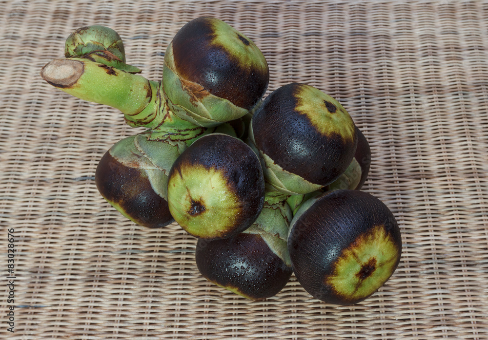 Asian Palmyra palm, Toddy palm, Sugar palm and Cambodian palm Stock ...