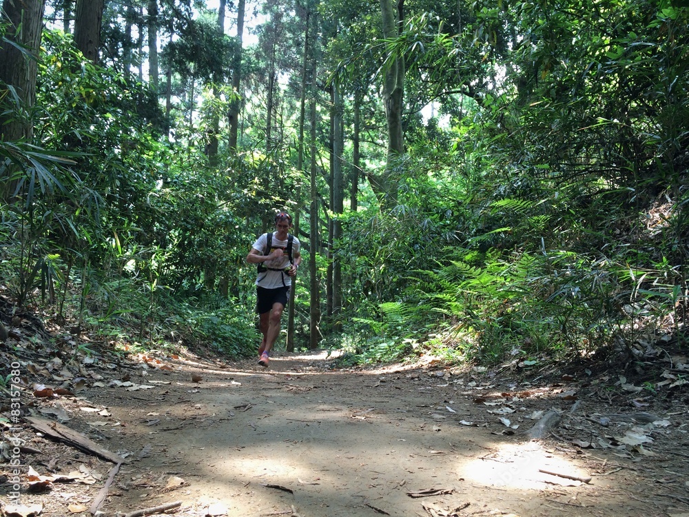 Trail runner on forest path Stock Photo | Adobe Stock