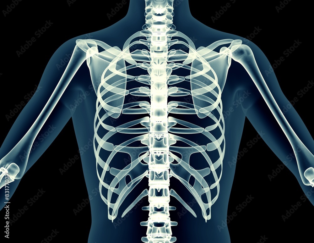 x-ray image of a man isolated on black Stock Illustration | Adobe Stock