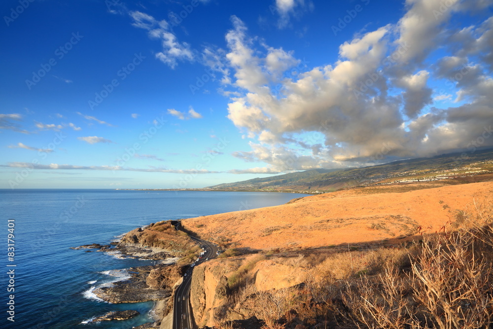 Savane, Ile de La Réunion. Stock Photo | Adobe Stock