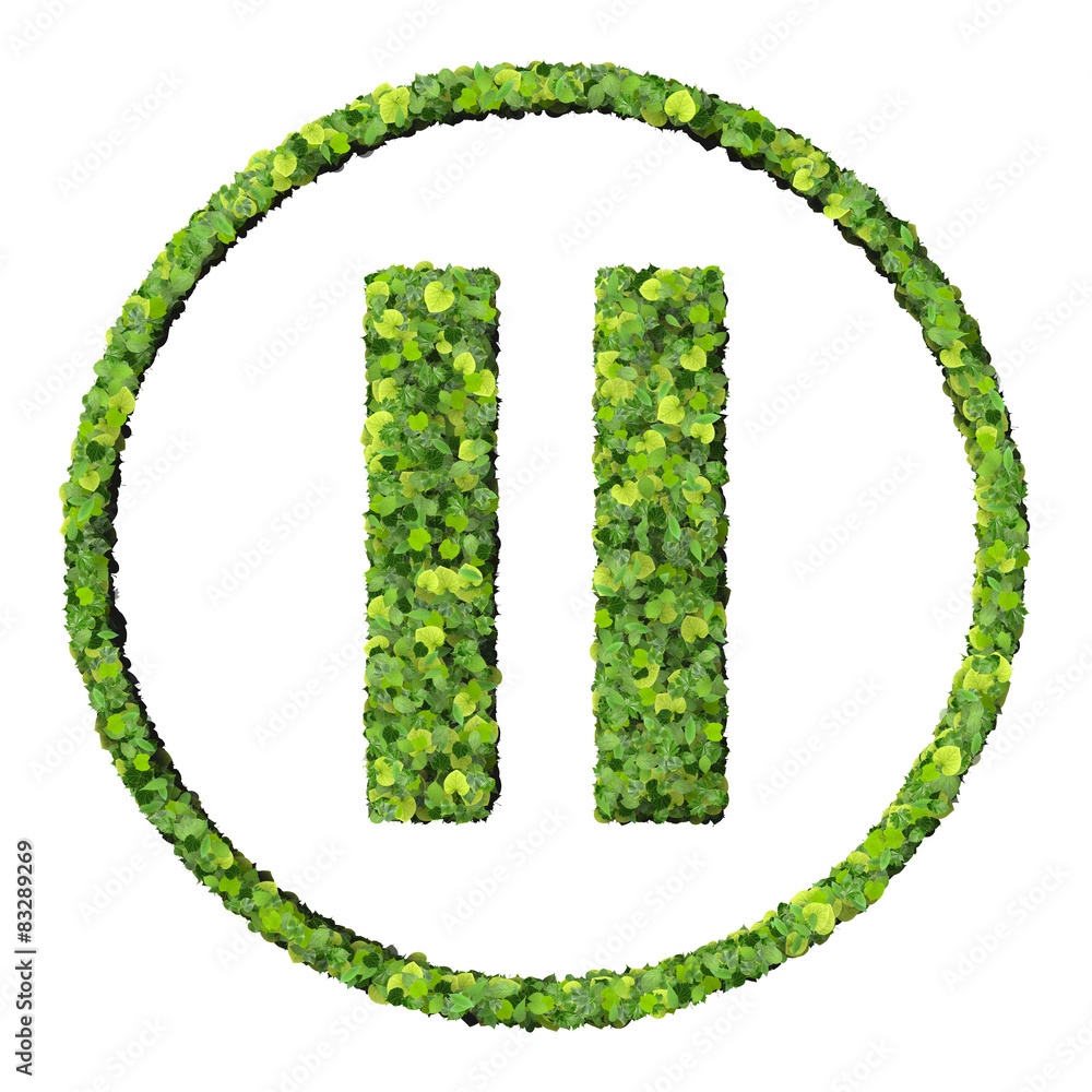 Pause Icon Green