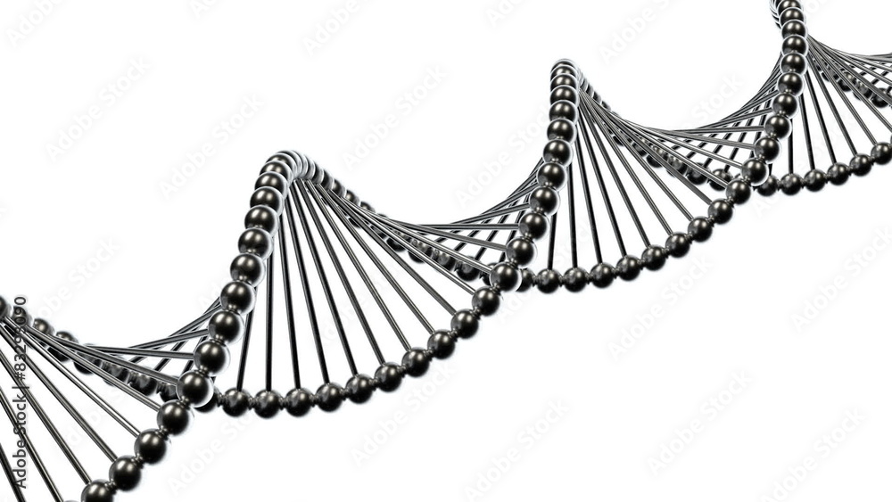 DNA molecule loopable animation on white isolated background Stock ...