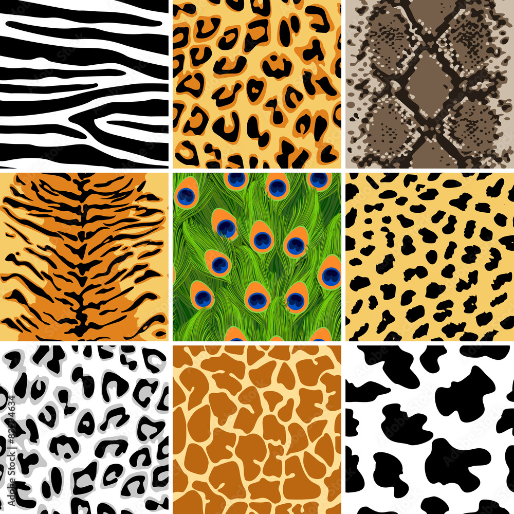 Animal patterns set Stock-Vektorgrafik | Adobe Stock