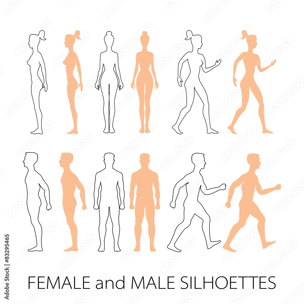 Male female silhouettes front, back and side. Vector Stock Vector ...