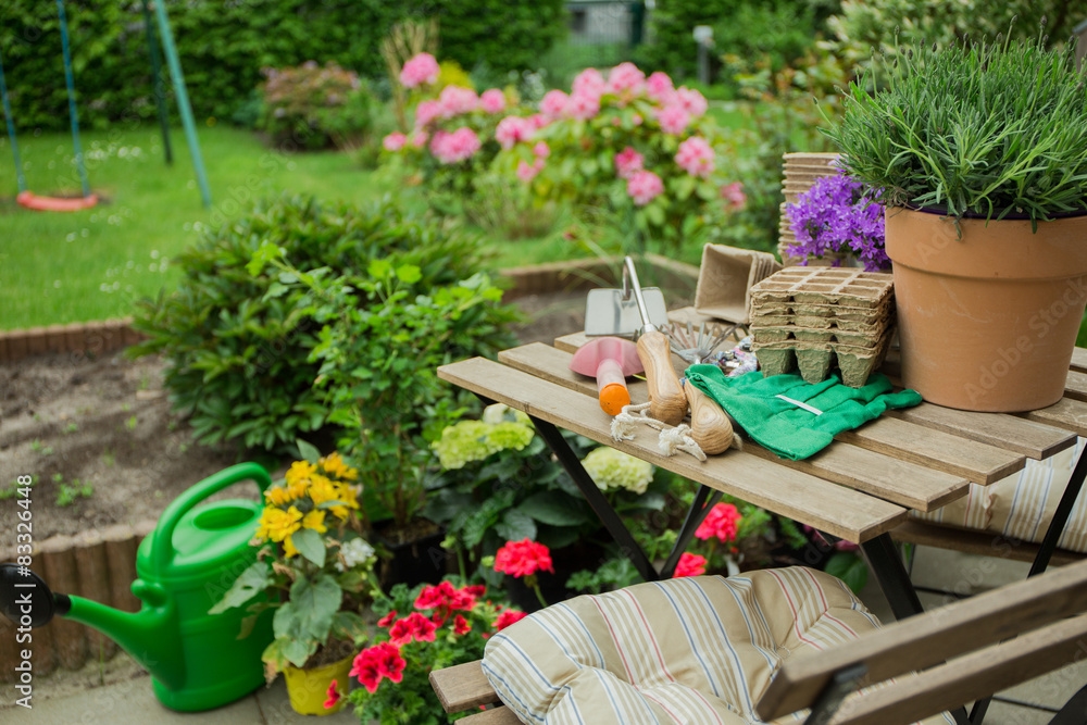 Schone Blumen im Garten Stock-Foto | Adobe Stock