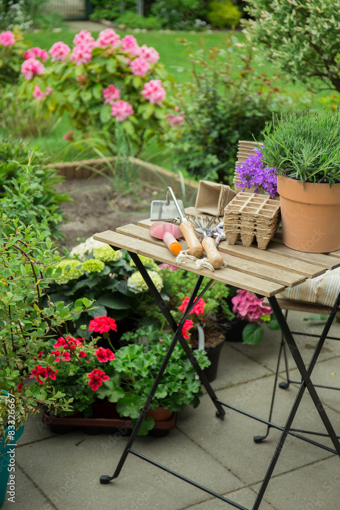 Schone Blumen im Garten Stock-Foto | Adobe Stock