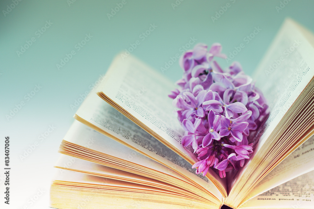 Vintage romantic background with old book, lilac flower, and Stock ...