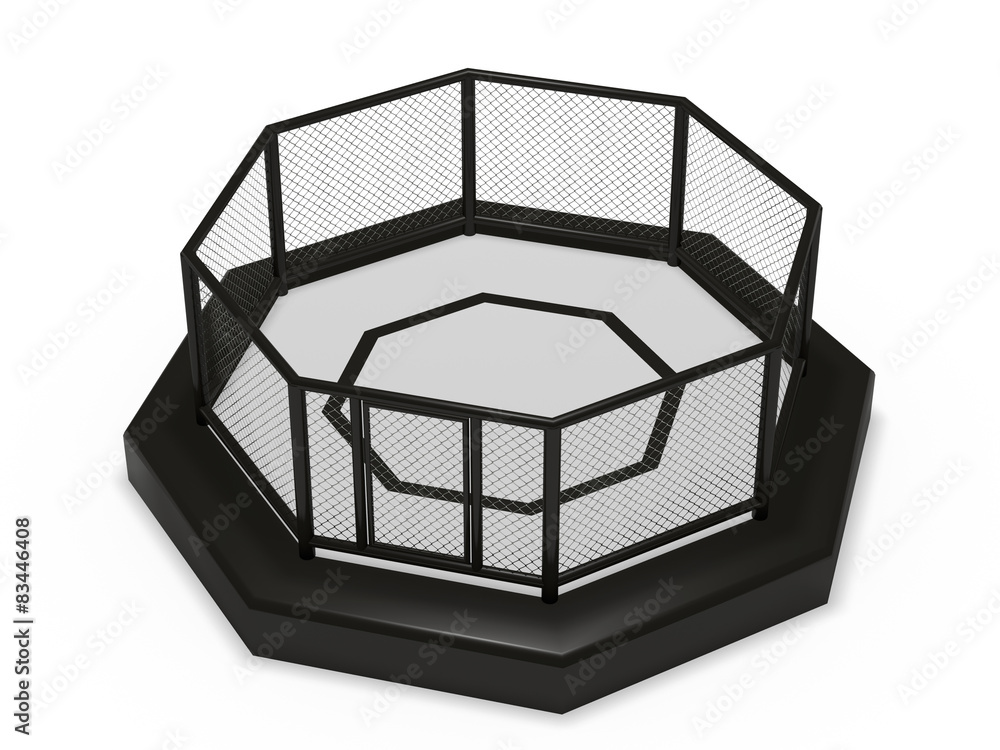 Octagon cage Stock Illustration | Adobe Stock