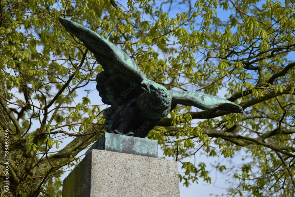 Deutscher Adler Stock-Foto | Adobe Stock