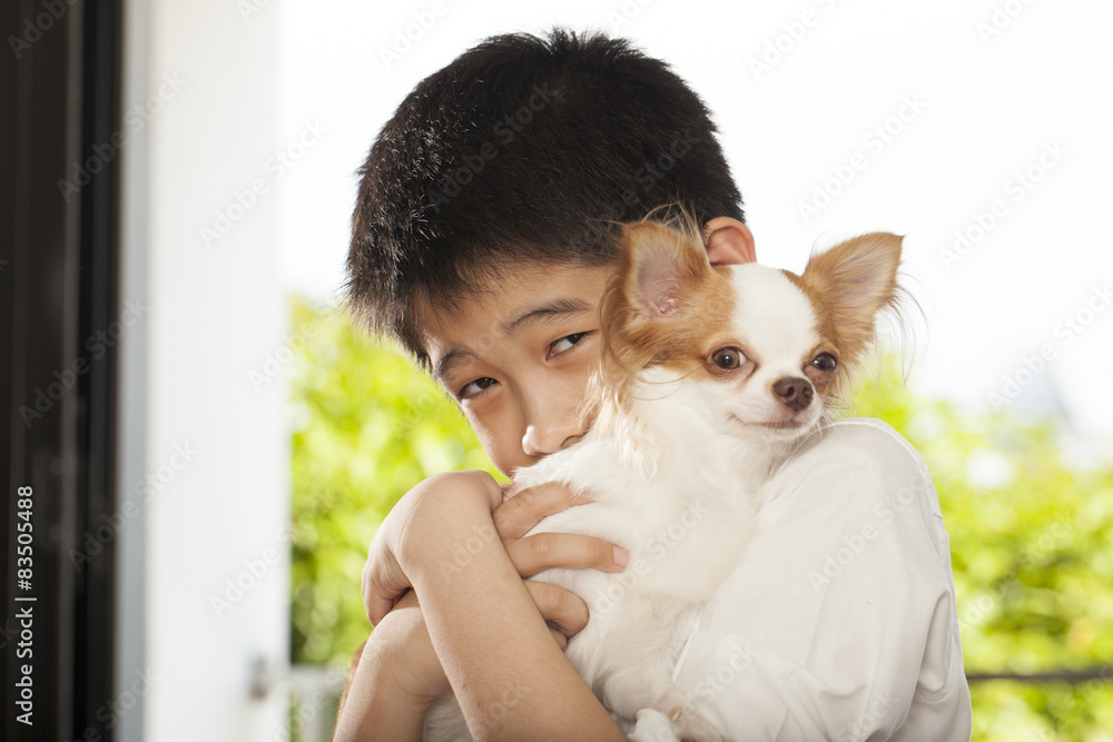 kid life, an Asian boy hug his Chi hua hua tiny dog Stock Photo | Adobe ...