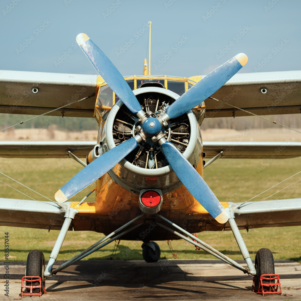 Poster Propeller airplane – Wall Art | UkPosters
