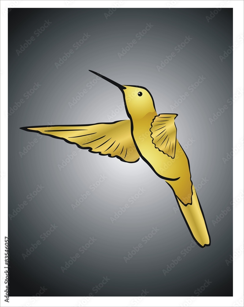 colibrí dorado sobre fondo negro Stock Vector | Adobe Stock