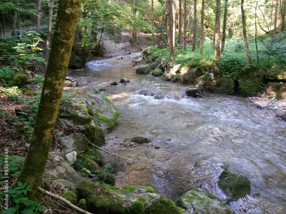 bach im wald Stock Photo | Adobe Stock