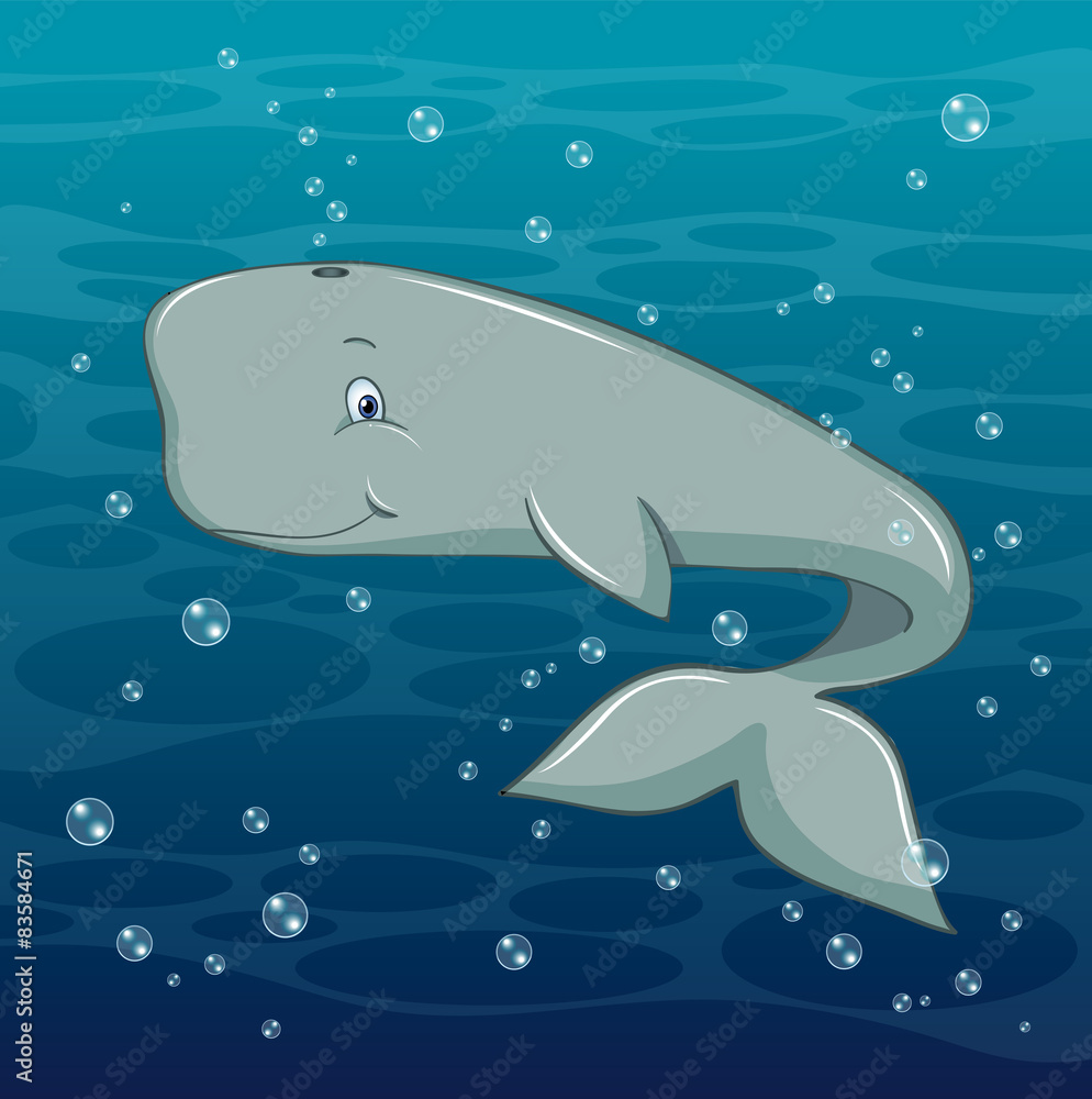 Pottwal Unterwasser Stock-Vektorgrafik | Adobe Stock