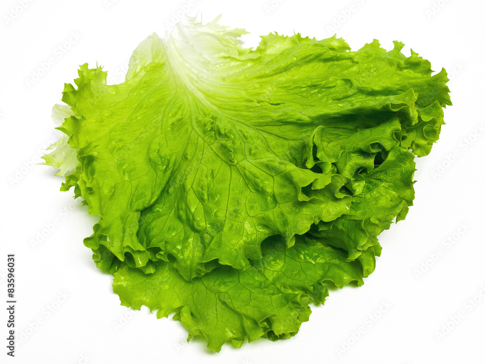 Salatblätter Stock-Foto | Adobe Stock