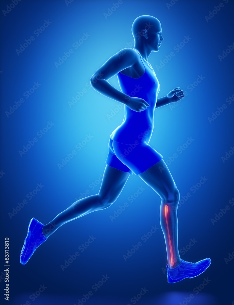 FIBULA - running man leg scan in blue Stock Illustration | Adobe Stock