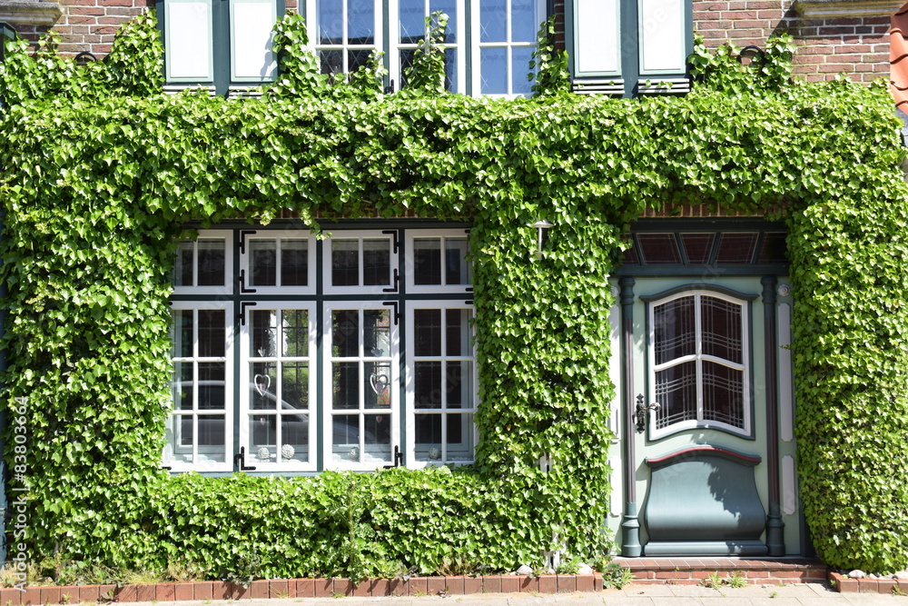 Fassadegrün Stock-Foto | Adobe Stock