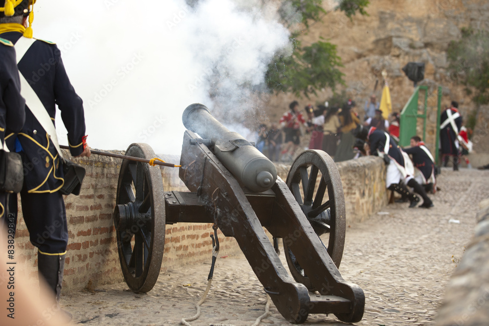 Napoleonic artillery shooting Stock Photo | Adobe Stock