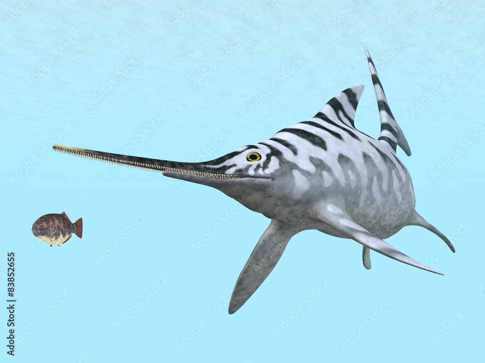 Ichthyosaur Eurhinosaurus Stock-Illustration | Adobe Stock