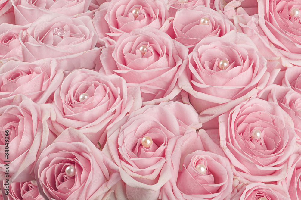 background of roses with pearls Stock Photo | Adobe Stock