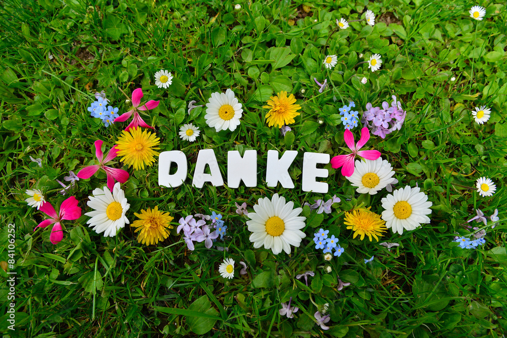 Danke Text auf Blumen Wiese Stock-Foto | Adobe Stock