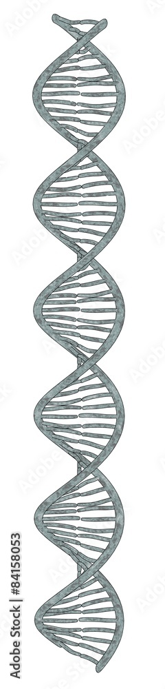 cartoon image of DNA model Stock Illustration | Adobe Stock