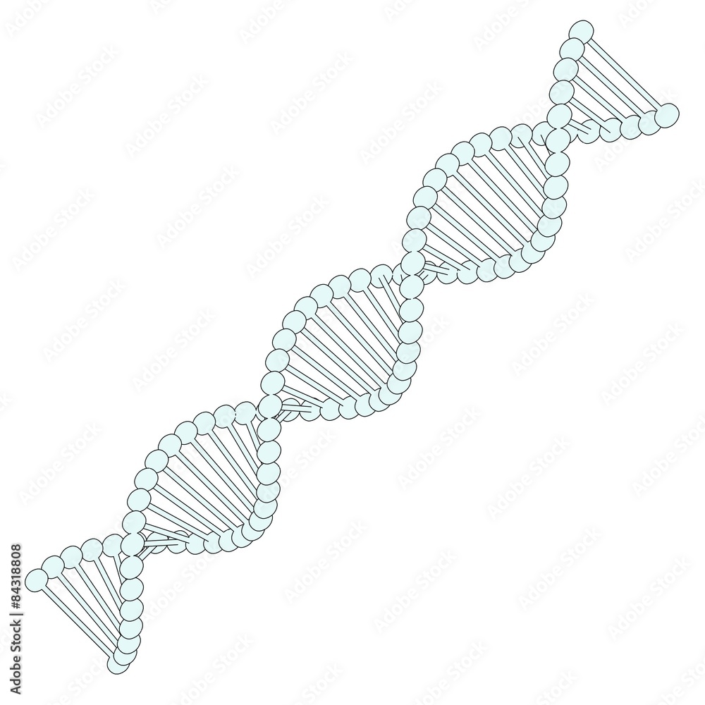 cartoon image of DNA model Stock Illustration | Adobe Stock