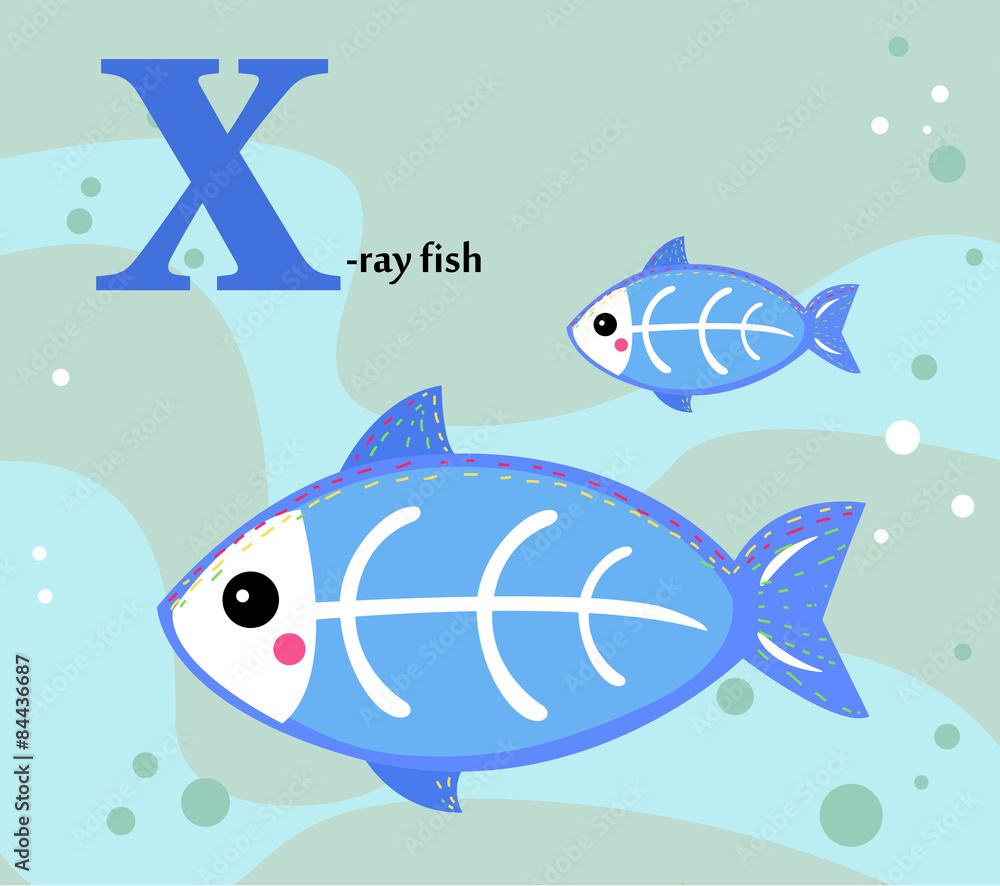 Animal alphabet for the kids: X for the X-ray fish Stock Vector | Adobe ...