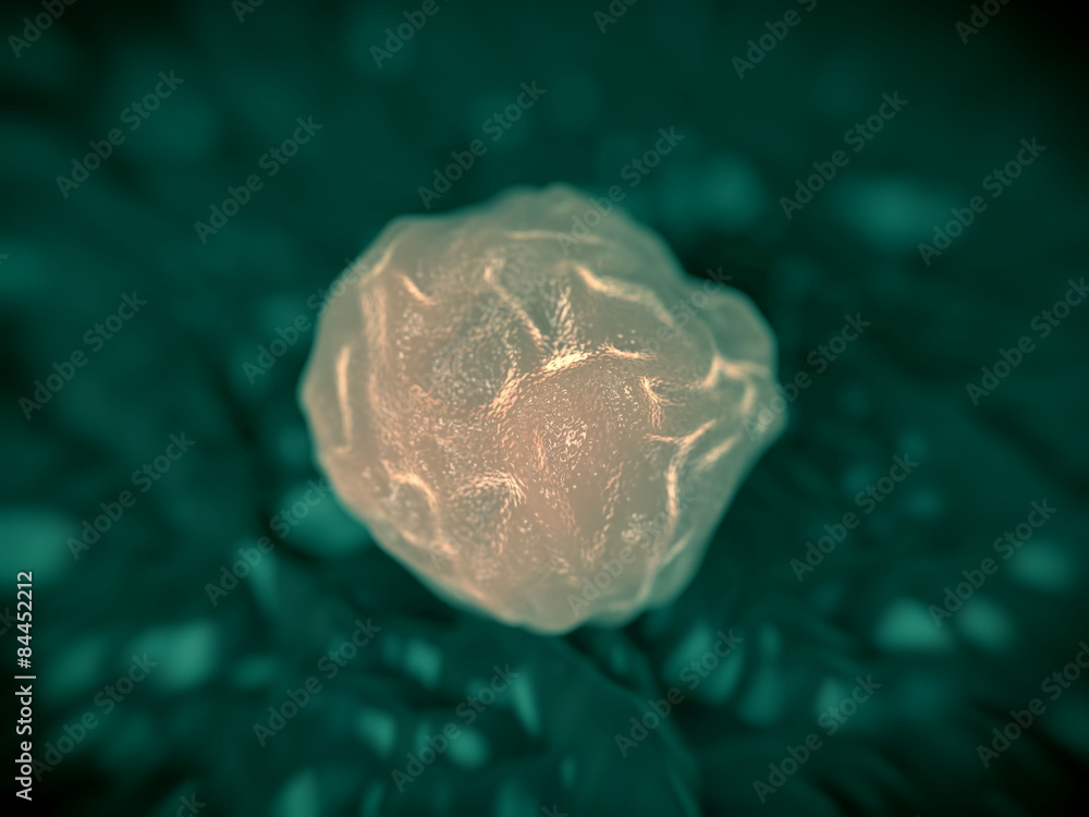 ภาพประกอบสต็อก Bone marrow, stem cells of human bone marrow stem cells ...
