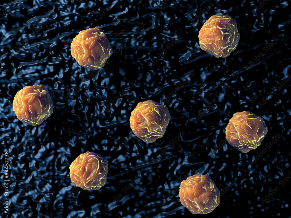 Bone marrow, stem cells of human bone marrow stem cells. These cells ...