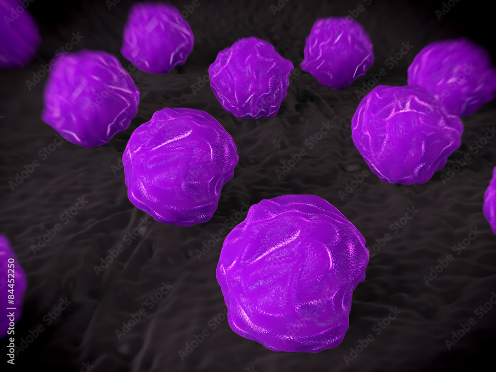 Bone marrow, stem cells of human bone marrow stem cells. These cells ...