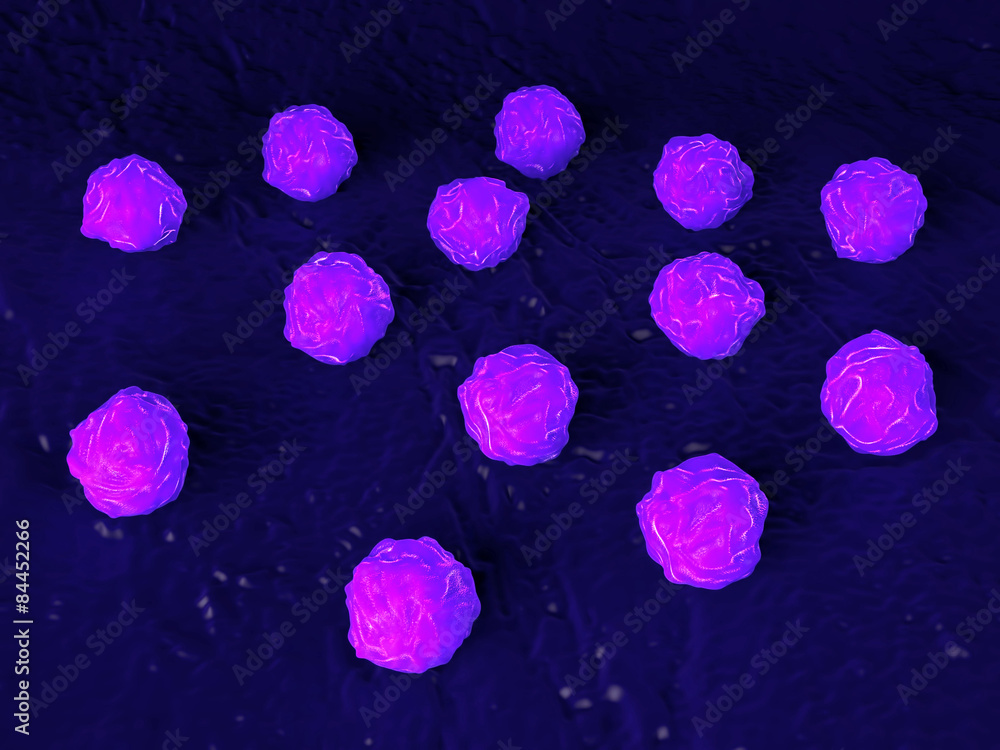 Bone marrow, stem cells of human bone marrow stem cells. These cells ...