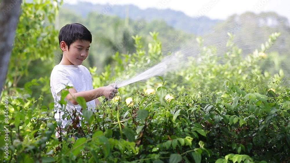 Little Asian boy watering the tree, standing in the shade of a tree in ...