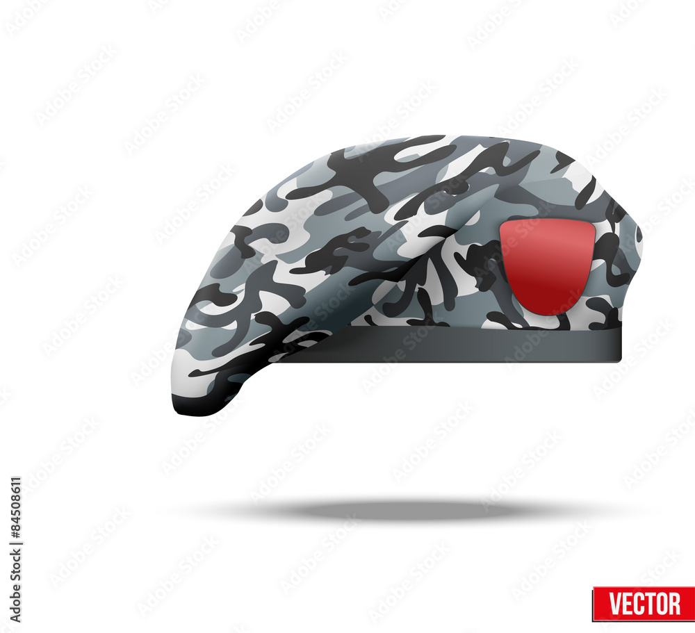 Military Camo Beret Special Forces Stock Vector | Adobe Stock