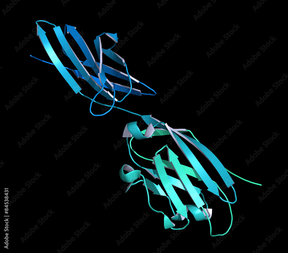 Programmed Death Ligand 1 Pd L1 Protein Stock Illustration Adobe Stock