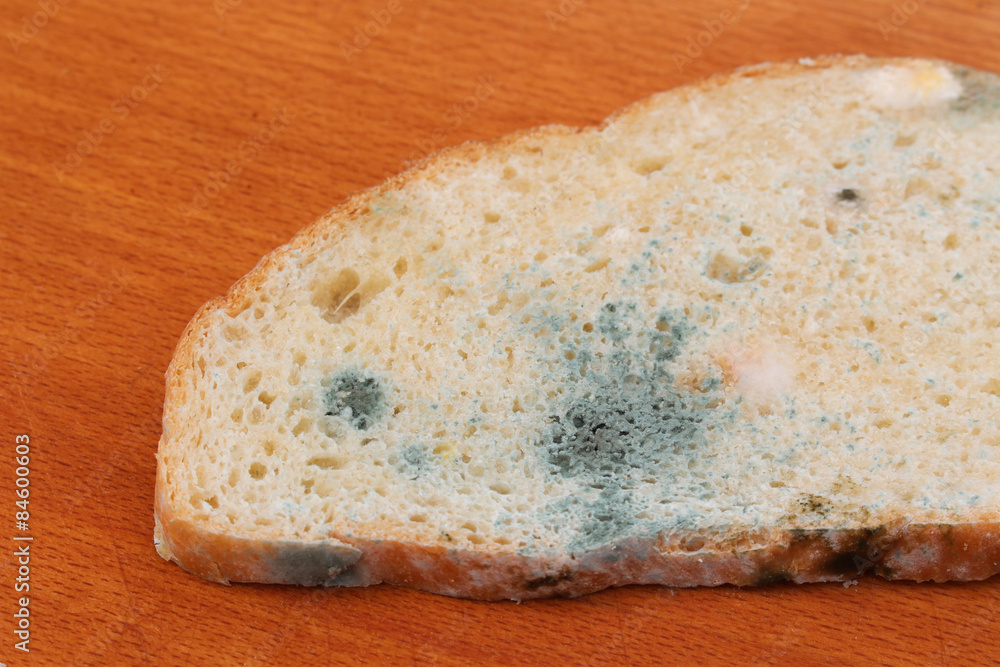 The old white mold on the bread. Spoiled food. Mold on food. Stock ...