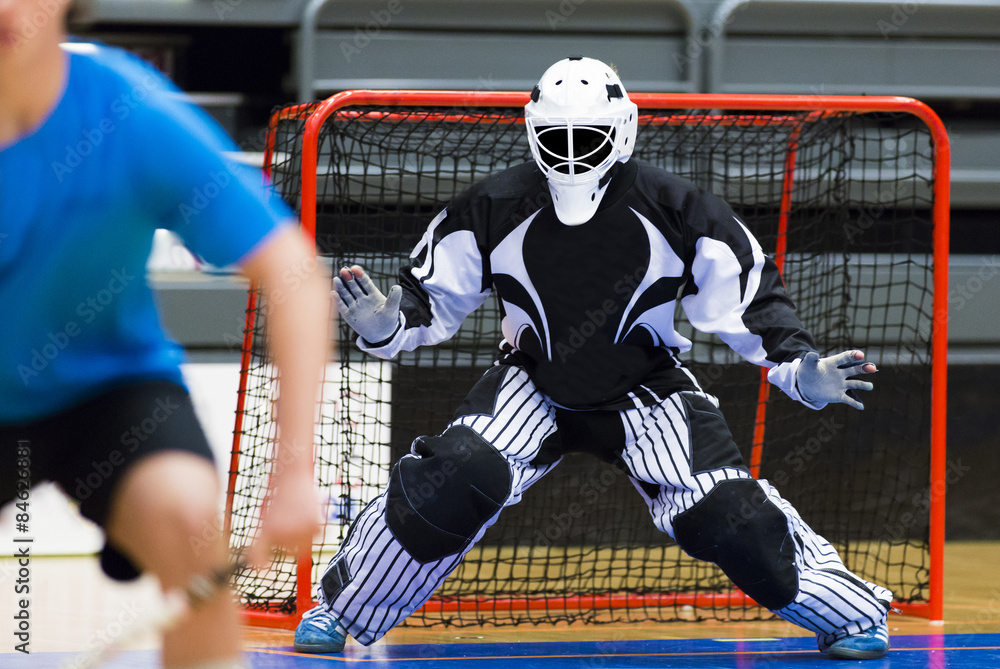 Floorball Goalie Stock-Foto | Adobe Stock