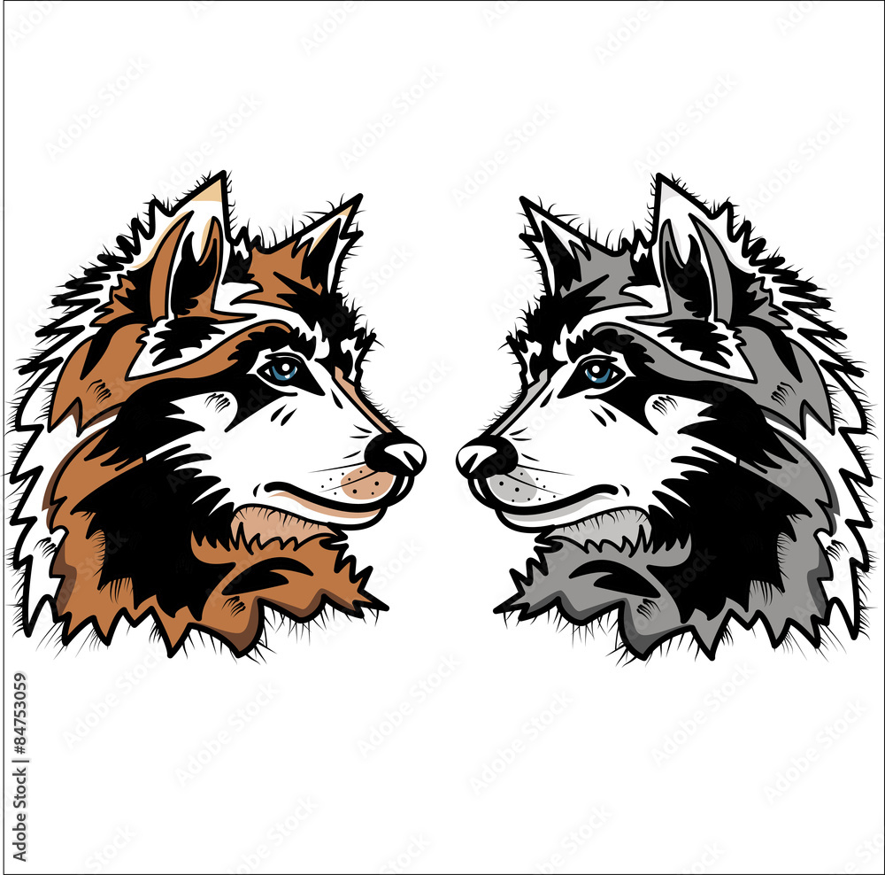 vector illustration of two wolves' head Stock Vector | Adobe Stock