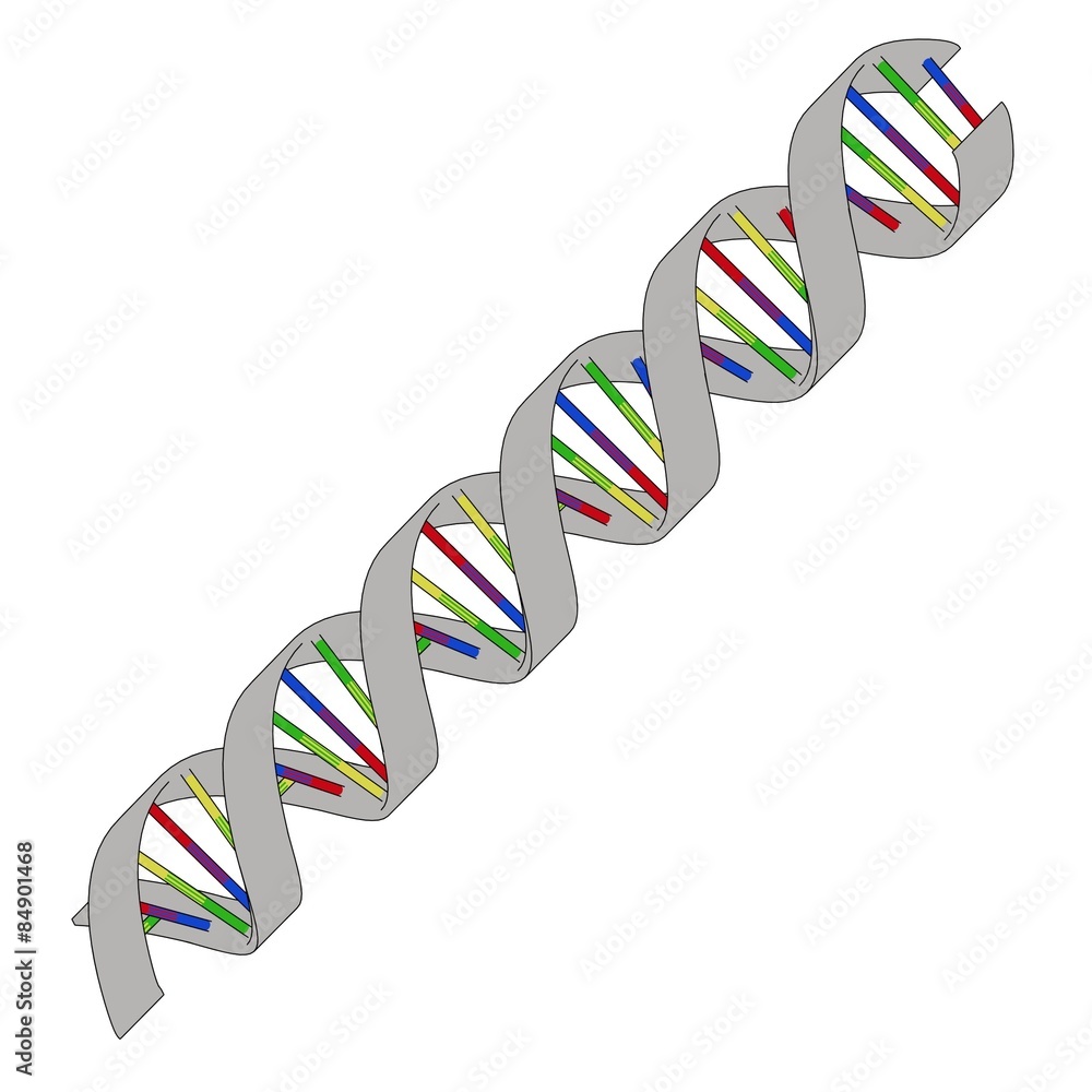 cartoon image of DNA model Stock Illustration | Adobe Stock