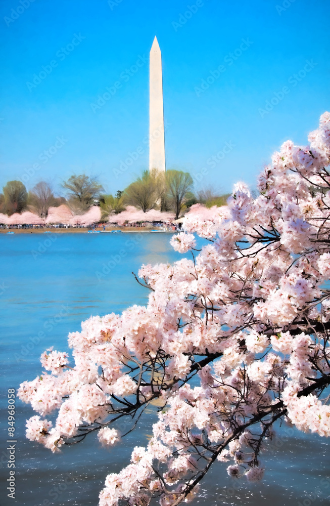 Japanese Flowering Cherry Trees and Washington Monument. This is ...