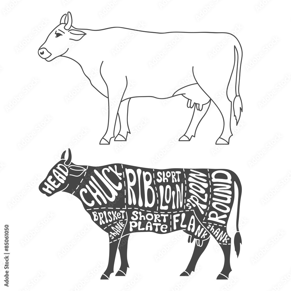 Beef cuts diagram Stock Vector | Adobe Stock