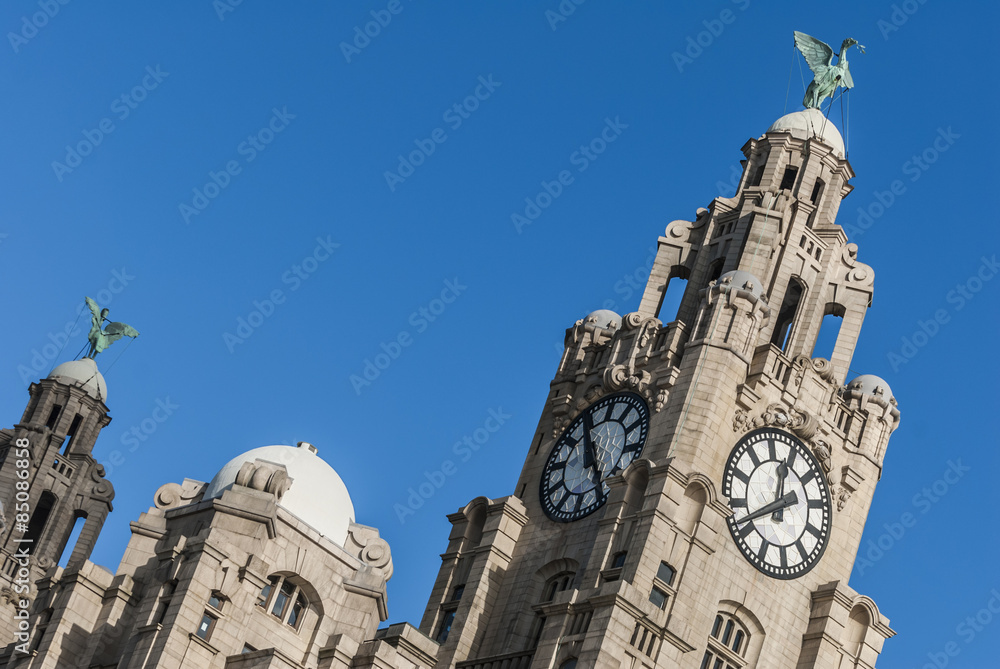 Liver Building Stock Photo | Adobe Stock
