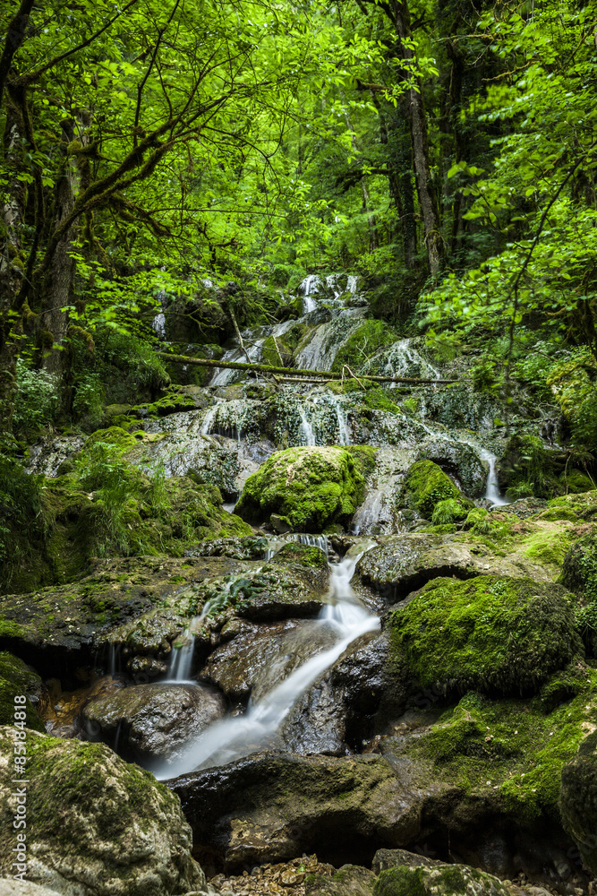 Bach im Wald Stock-Foto | Adobe Stock