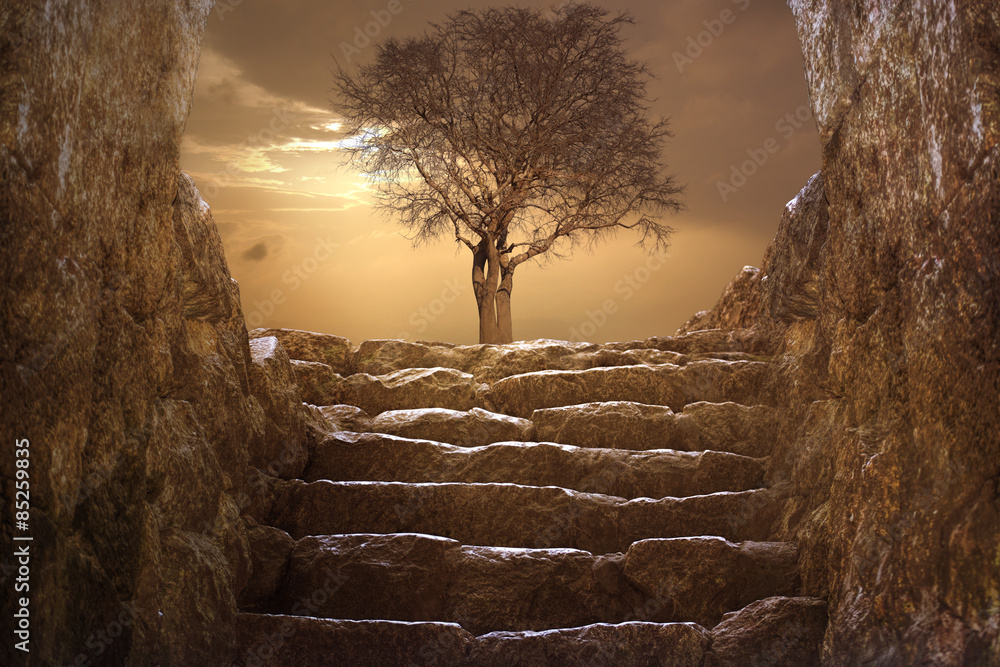Great Landscape with tree Stock Photo | Adobe Stock