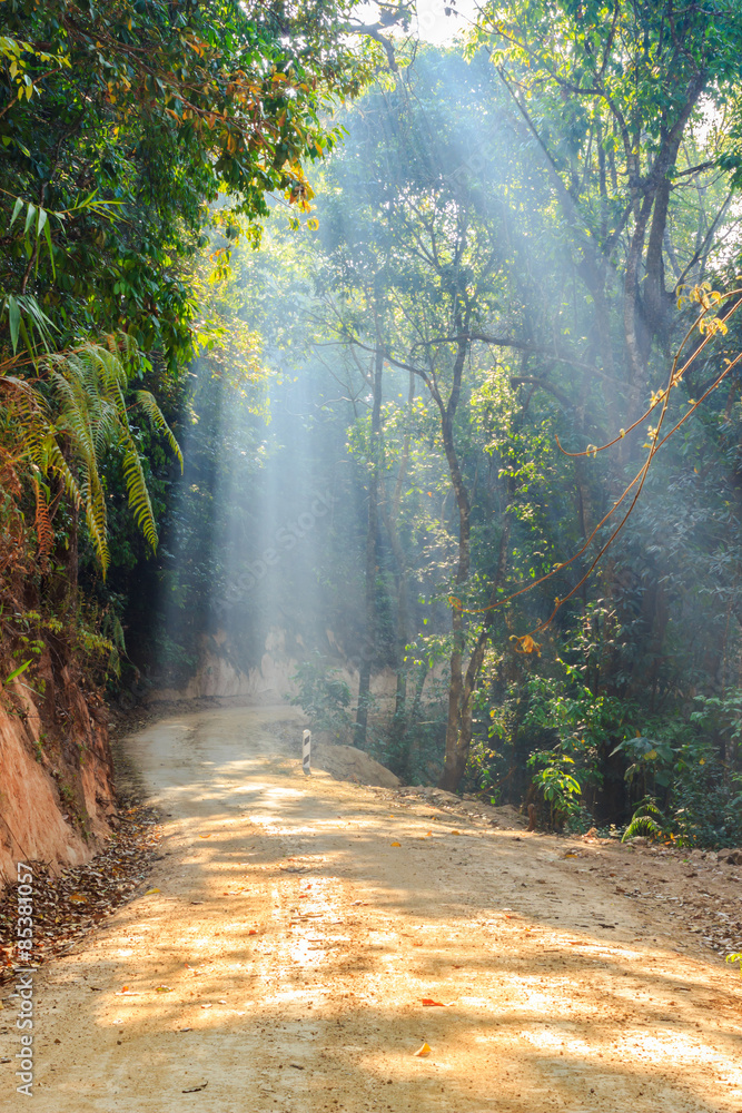 Path surrounded by an avenue of trees. Sun rays can be seen thro Stock ...