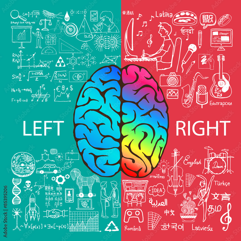 Left and right brain functions with doodles. Stock Vector | Adobe Stock