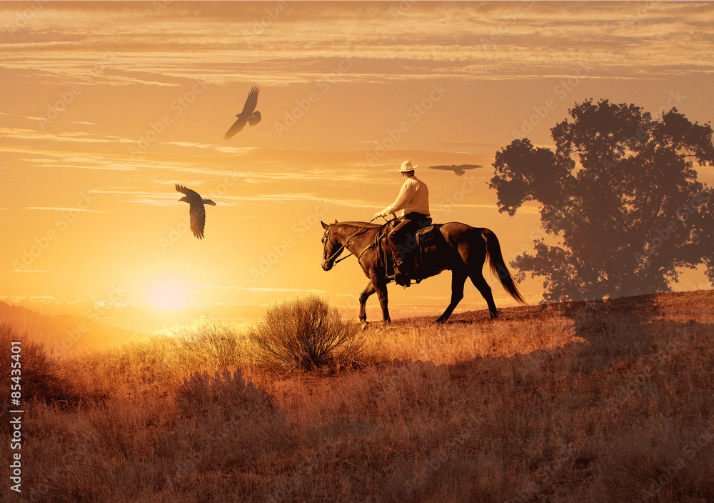 Fotografia do Stock: A cowboy on his horse with crows flying above. A ...
