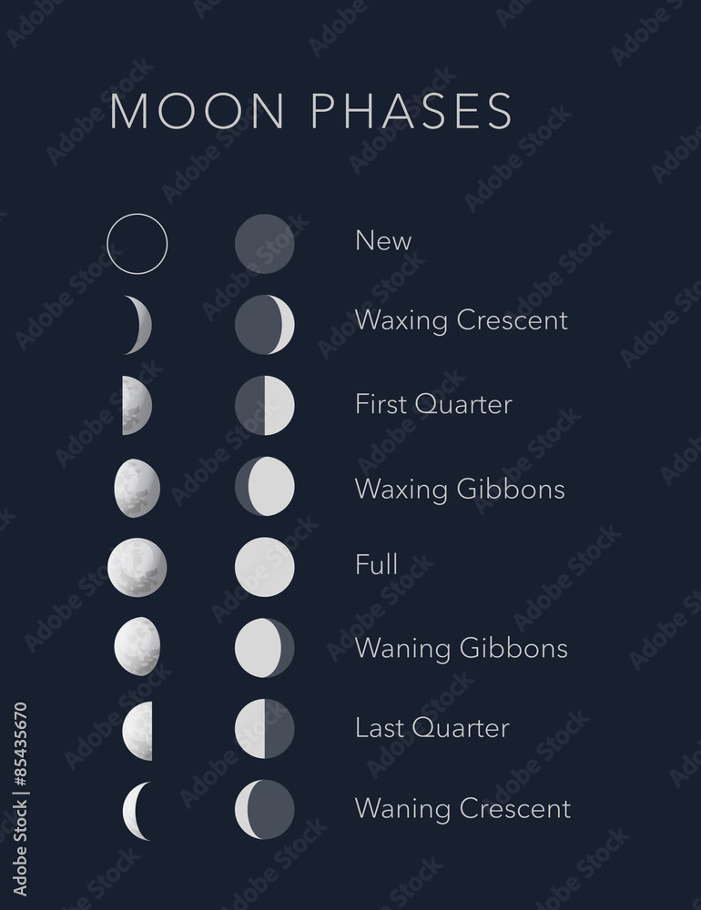 Lunar phases with flat and realistic symbols, vector Stock Vector ...